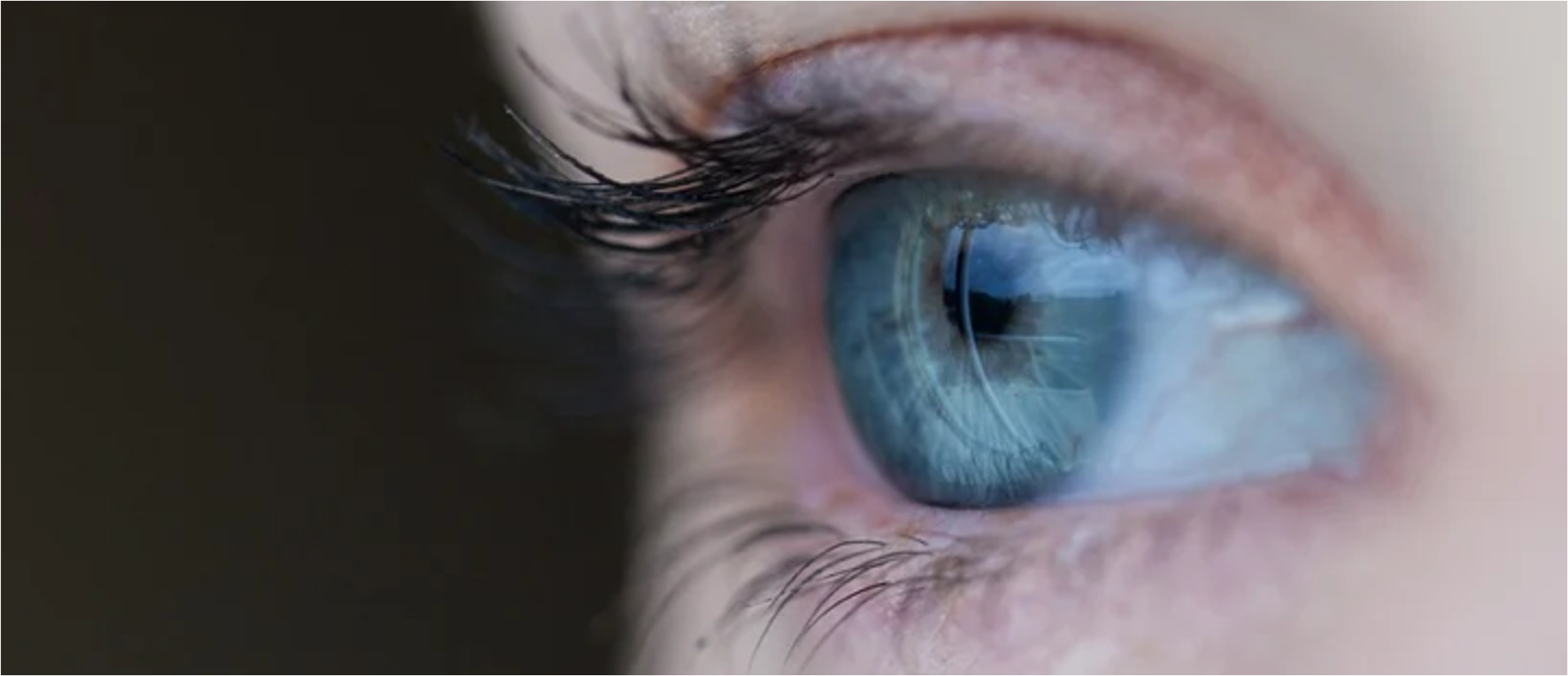 Foresight and innovations - Capful